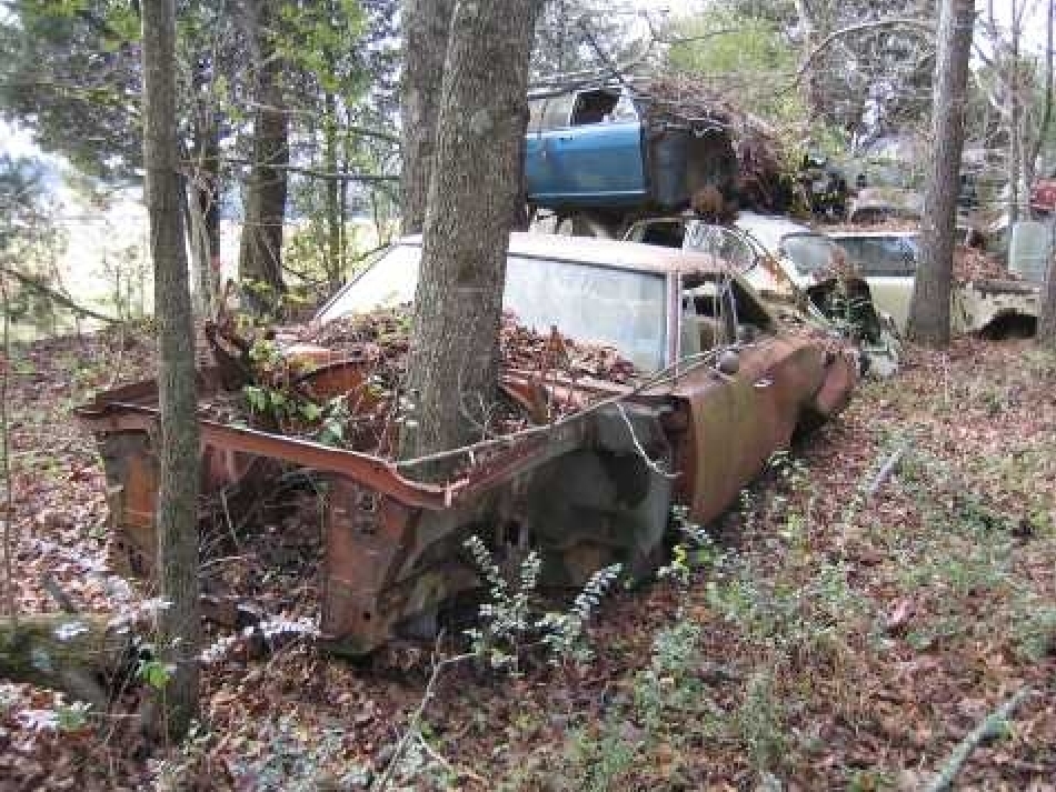 Ford Mercury Cougar Xr7 - Tree Cars