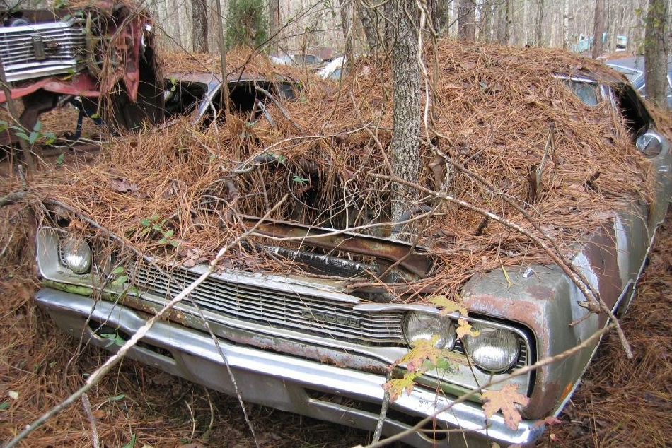 Ford Mercury Cougar Xr7 - Tree Cars